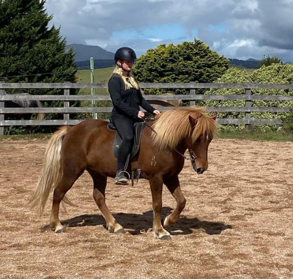 Súla - coming up for sale in the next 3 months – Megalong Icelandic Horses